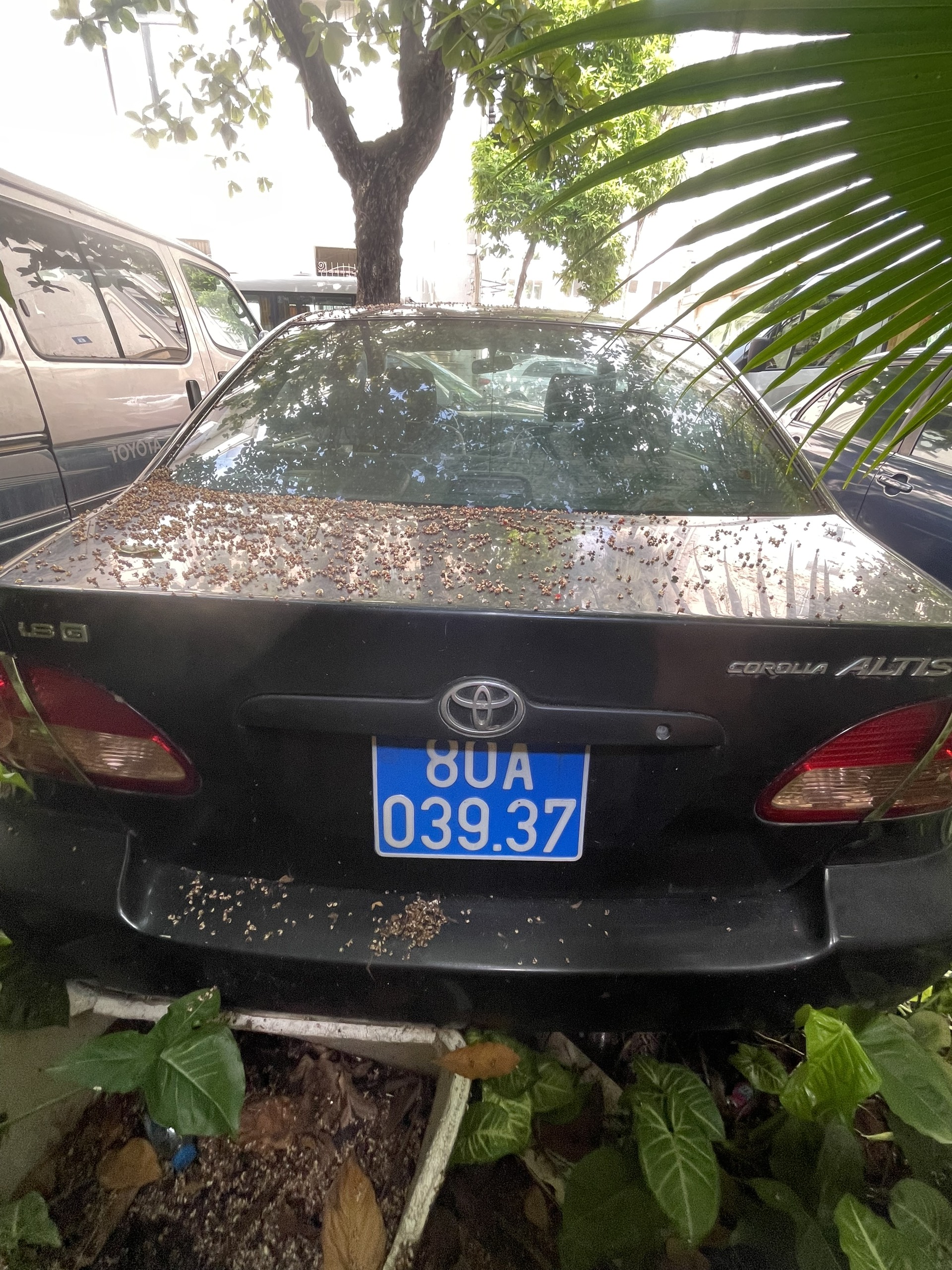 Xe ô tô Corolla Altis biển kiểm soát số 80A-039.37 của Văn phòng Bộ Công Thương - Lạc Việt Auction